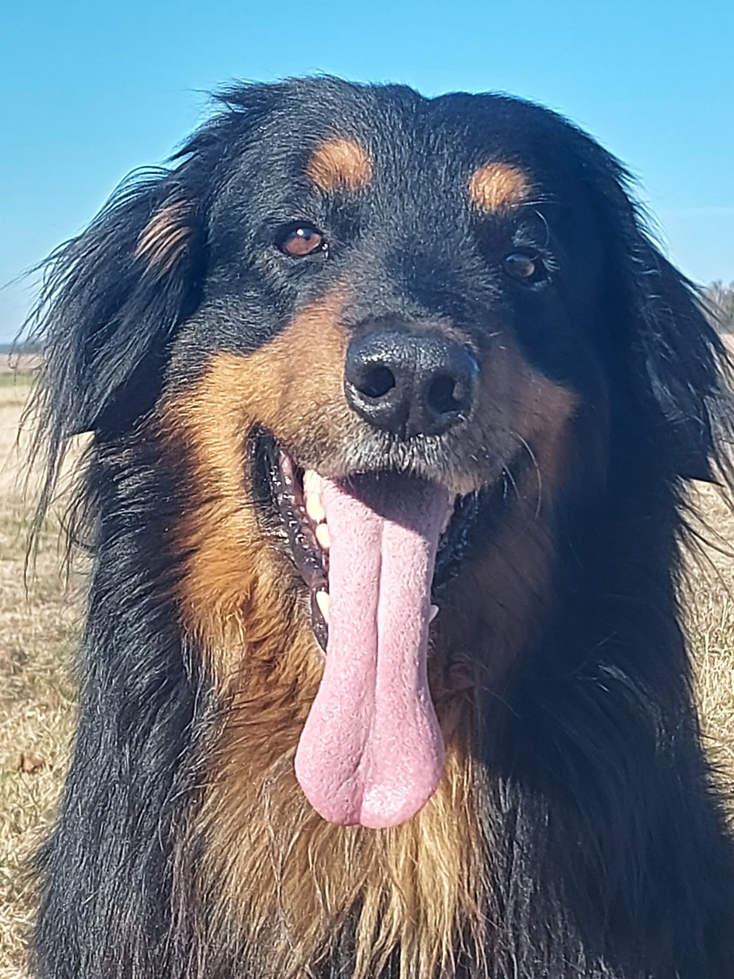 Fotogalerie :: Brahw